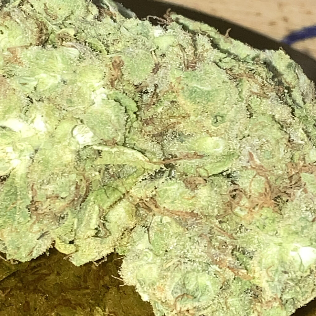 Alien Cryo – Pochon Vert